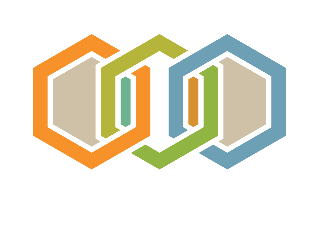 InfoObjects | Services